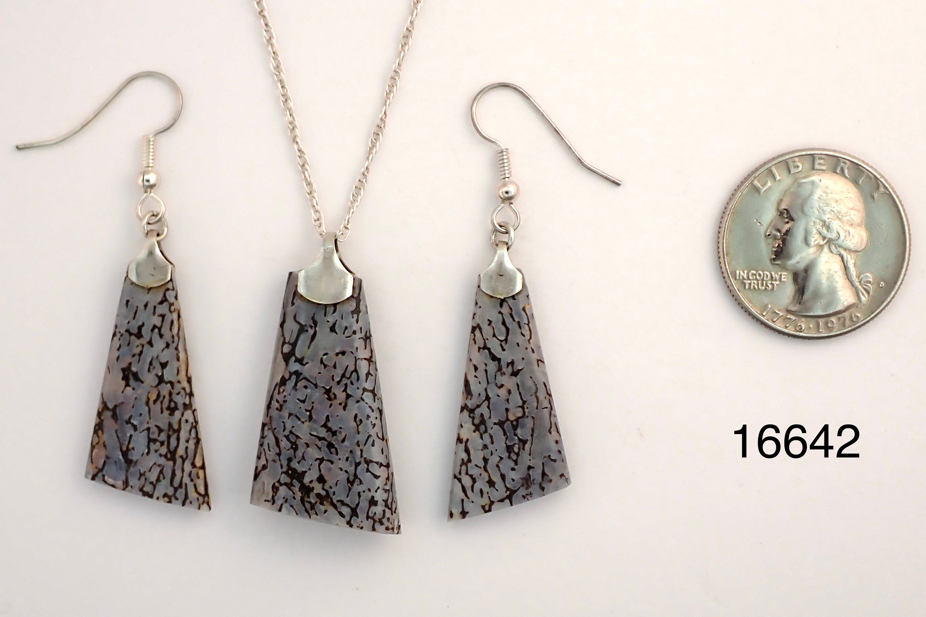 Fossil Dinosaur Bone Collection - Sets of Earrings With Matching ...