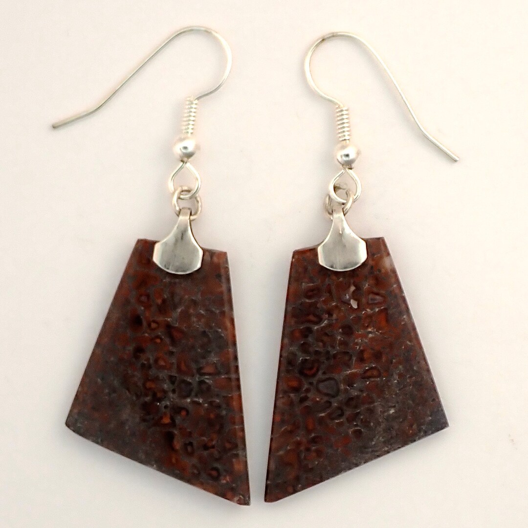 Fossil Dinosaur Bone Collection - French Wire Drops - Etsy