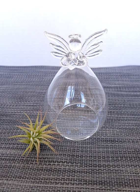 Angel Terrarium With Air Plant - Etsy