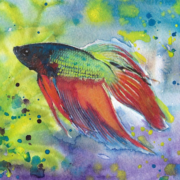 Beta Fish - Etsy