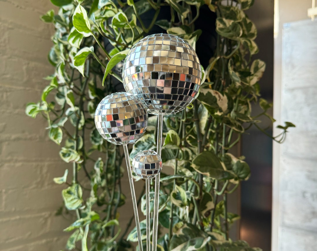 Plant Discoballs - Etsy