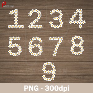 Floral Letters PNG Alphabet Bundle, Daisy Alpha Pack, Clipart Daisy ...