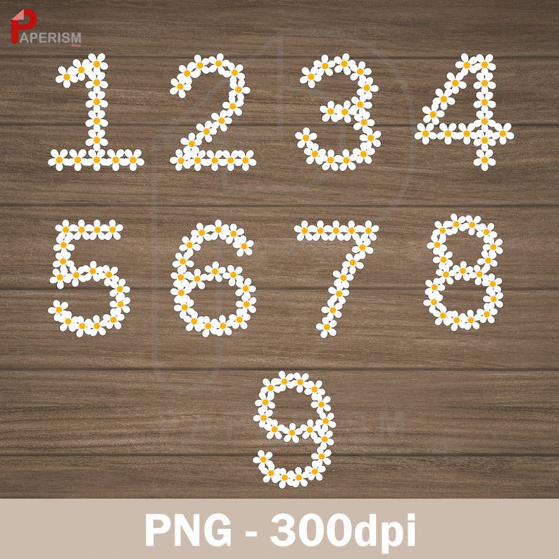 Floral Letters PNG Alphabet Bundle, Daisy Alpha Pack, Clipart Daisy ...