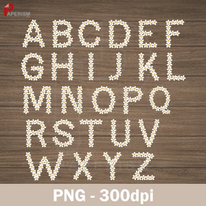Floral Letters PNG Alphabet Bundle, Daisy Alpha Pack, Clipart Daisy ...