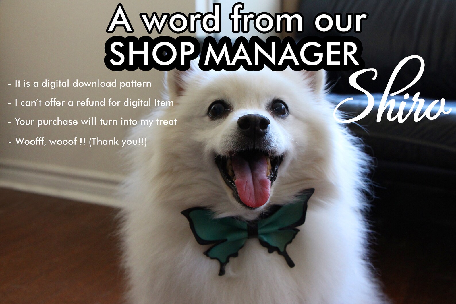 Halloween Leather Choker Template Bundle SVG File PDF - Etsy