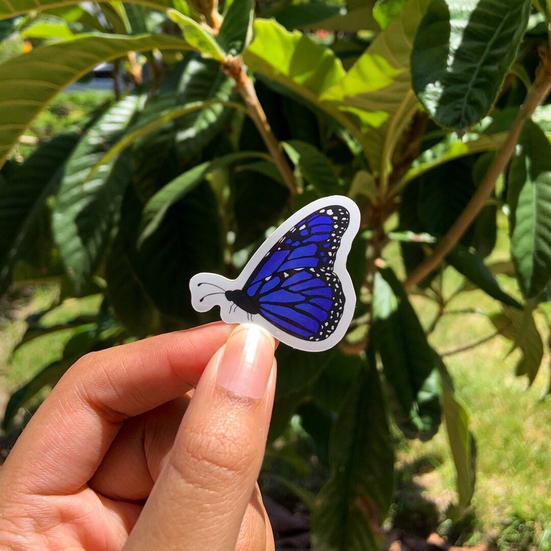 Blue Monarch Butterfly Sticker: Glossy Weatherproof Vinyl Die Cut - Etsy