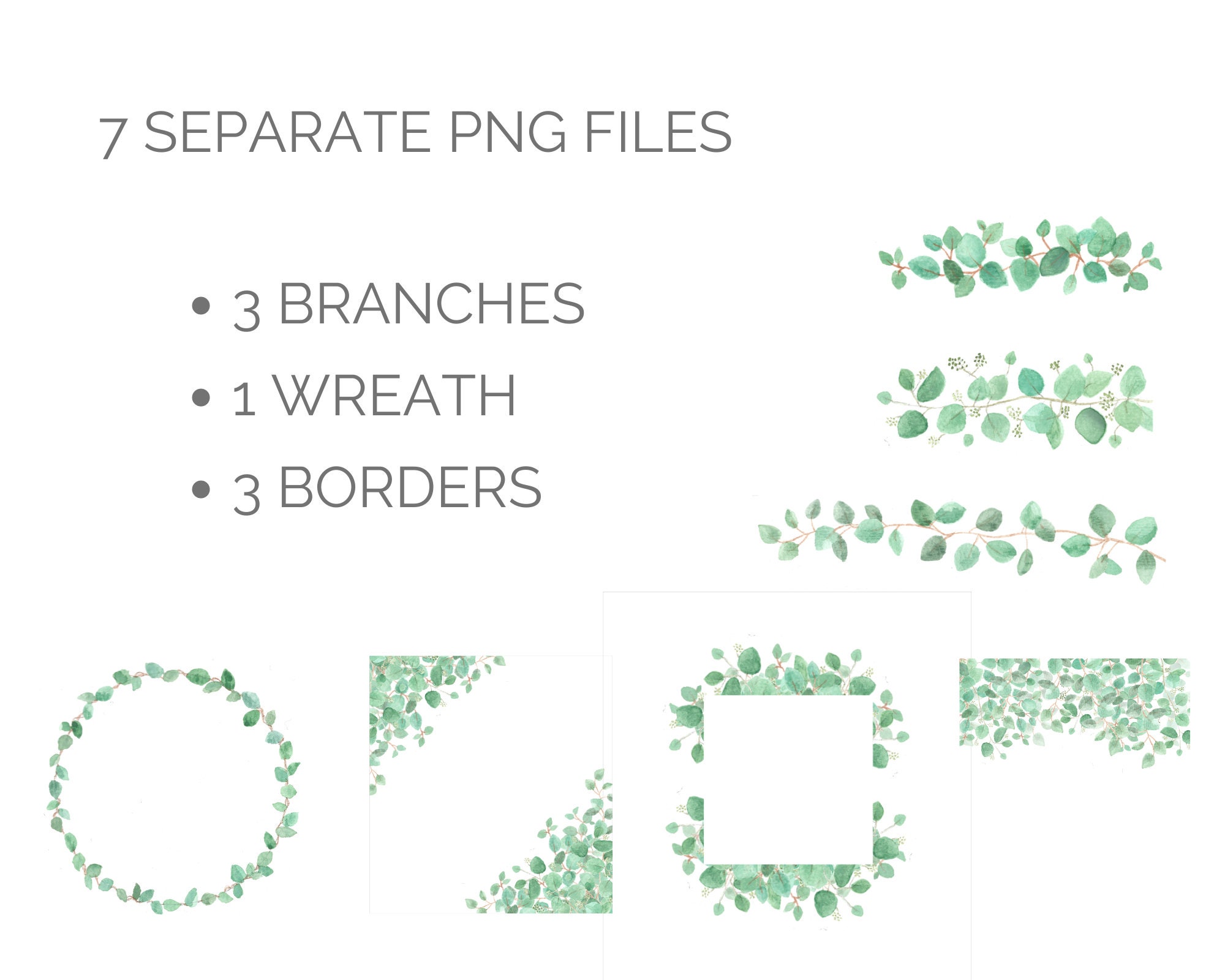 Eucalyptus Watercolor Clip Art Stems Wreath Greenery Green - Etsy