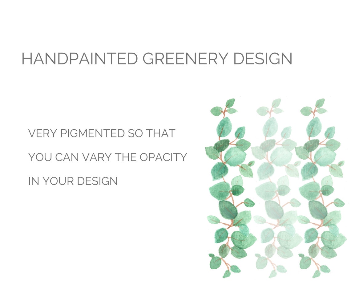 Eucalyptus Watercolor Clip Art Stems Wreath Greenery Green - Etsy