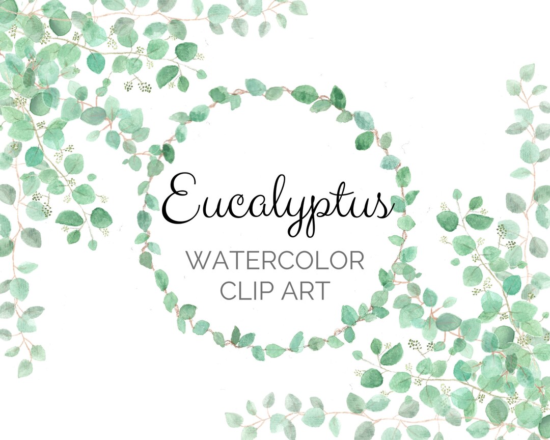 Eucalyptus Watercolor Clip Art Stems Wreath Greenery Green - Etsy