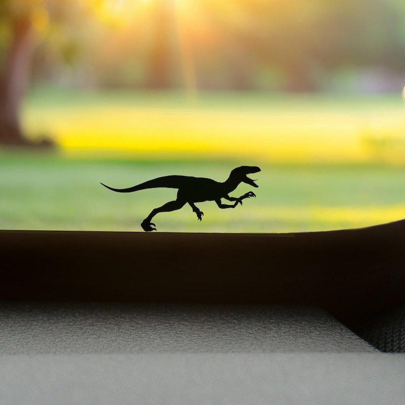Raptor Plates - Etsy UK
