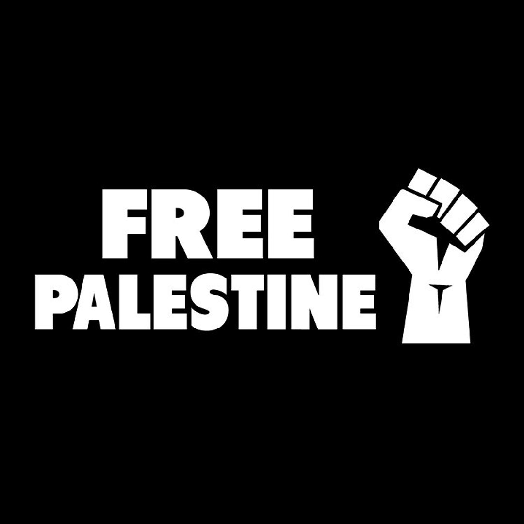 Free Palestine Vinyl Sticker - Pro Peace Decal - Palestine Support - Etsy
