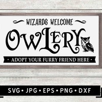 OWL Mini Unit Study, Life Cycle, Anatomy, Nature Study, Science ...