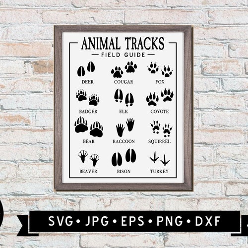 11 X 17 Animal Tracks Field Guide Poster - Etsy Canada