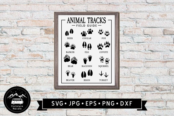 Animal Tracks Field Guide Sign SVG Nursery Decor Kids | Etsy