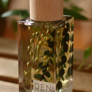 EUCALYPTUS MINT Reed Diffuser Botanical Reed Diffuser Room - Etsy