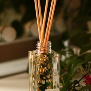 EUCALYPTUS MINT Reed Diffuser Botanical Room Diffuser Natural Home ...