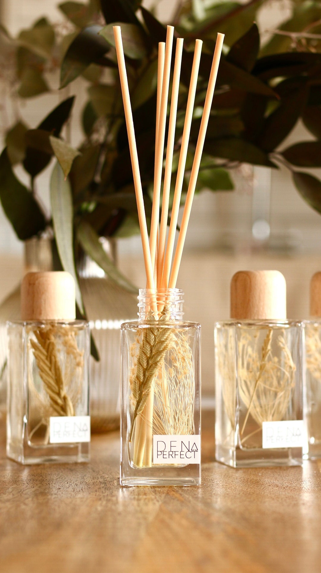 MANGO Reed Diffuser Botanical Reed Diffuser Tropical Scented Room ...