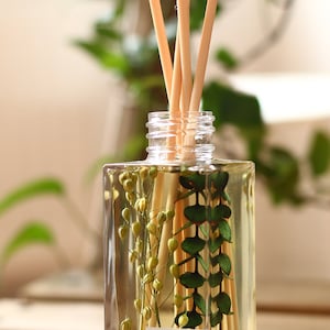 EUCALYPTUS MINT Reed Diffuser Botanical Reed Diffuser Room - Etsy