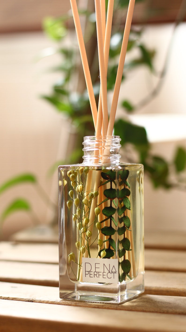 EUCALYPTUS MINT Reed Diffuser Botanical Reed Diffuser Room - Etsy