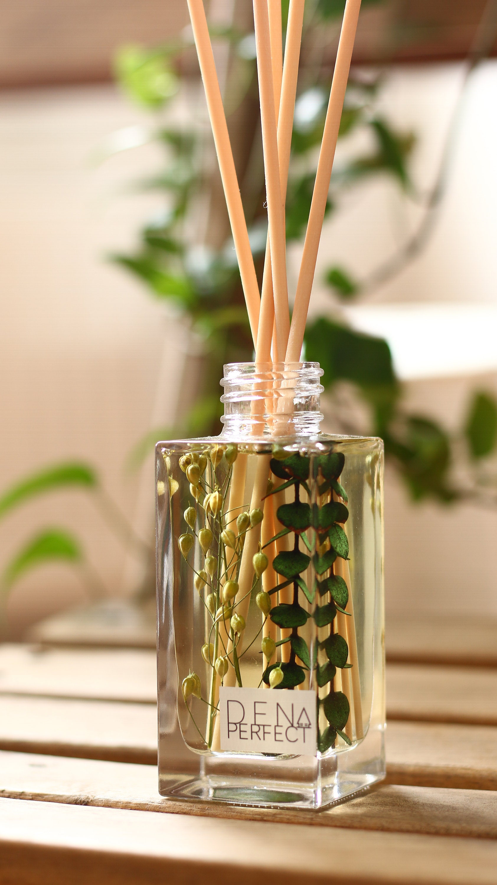 EUCALYPTUS MINT Reed Diffuser Botanical Reed Diffuser Room - Etsy