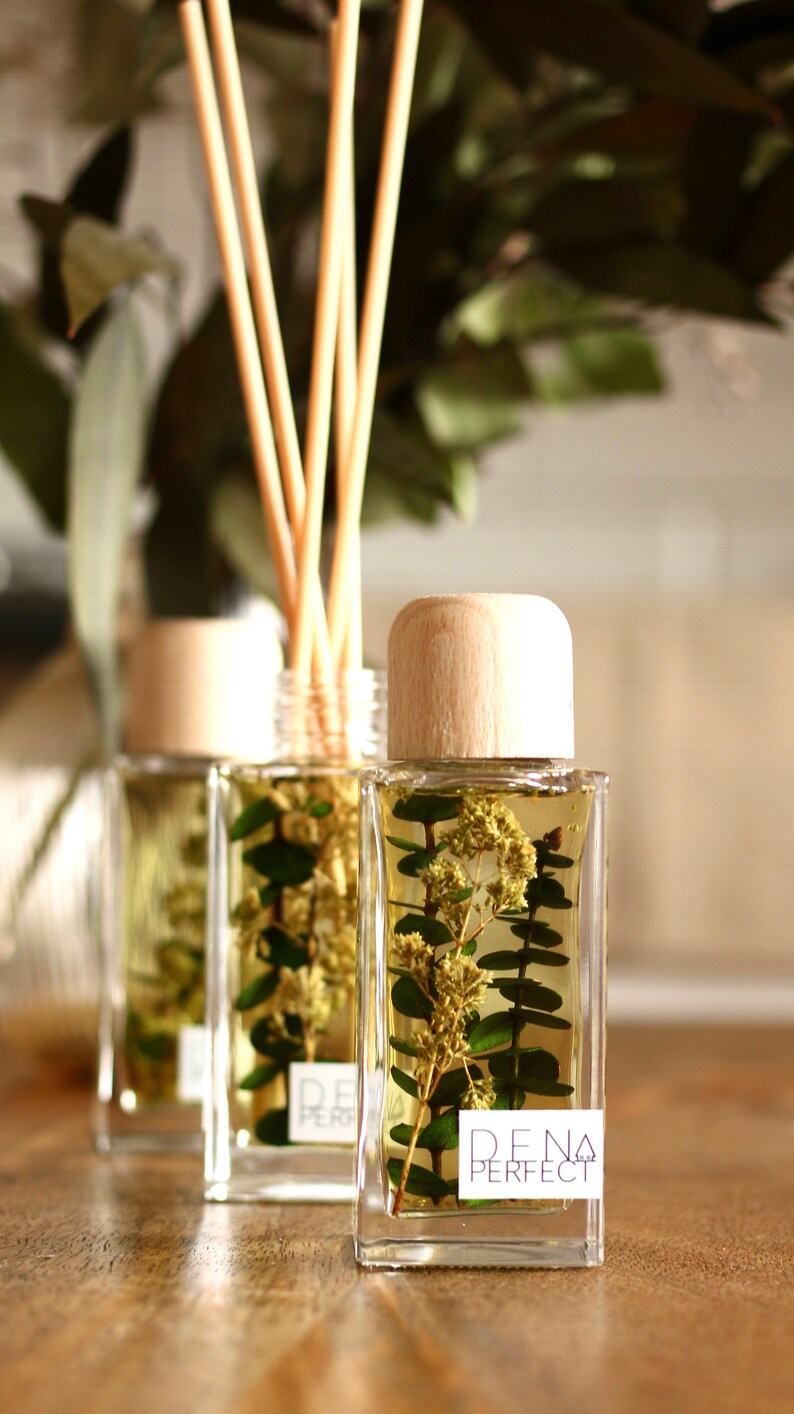 EUCALYPTUS MINT Reed Diffuser Botanical Reed Diffuser Room - Etsy