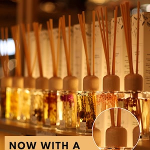 EUCALYPTUS MINT Reed Diffuser Botanical Room Diffuser Natural Home Fragrance Spa Gift for Her ...