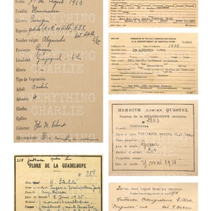 Field Notes and Plant Specimen Labels, for Junk Journals, Scrapbooking ...