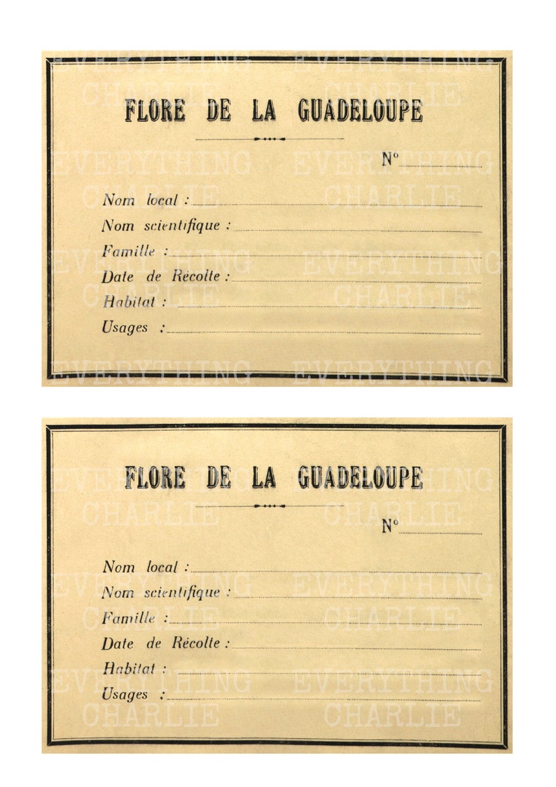 Field Notes and Plant Specimen Labels for Junk Journals - Etsy