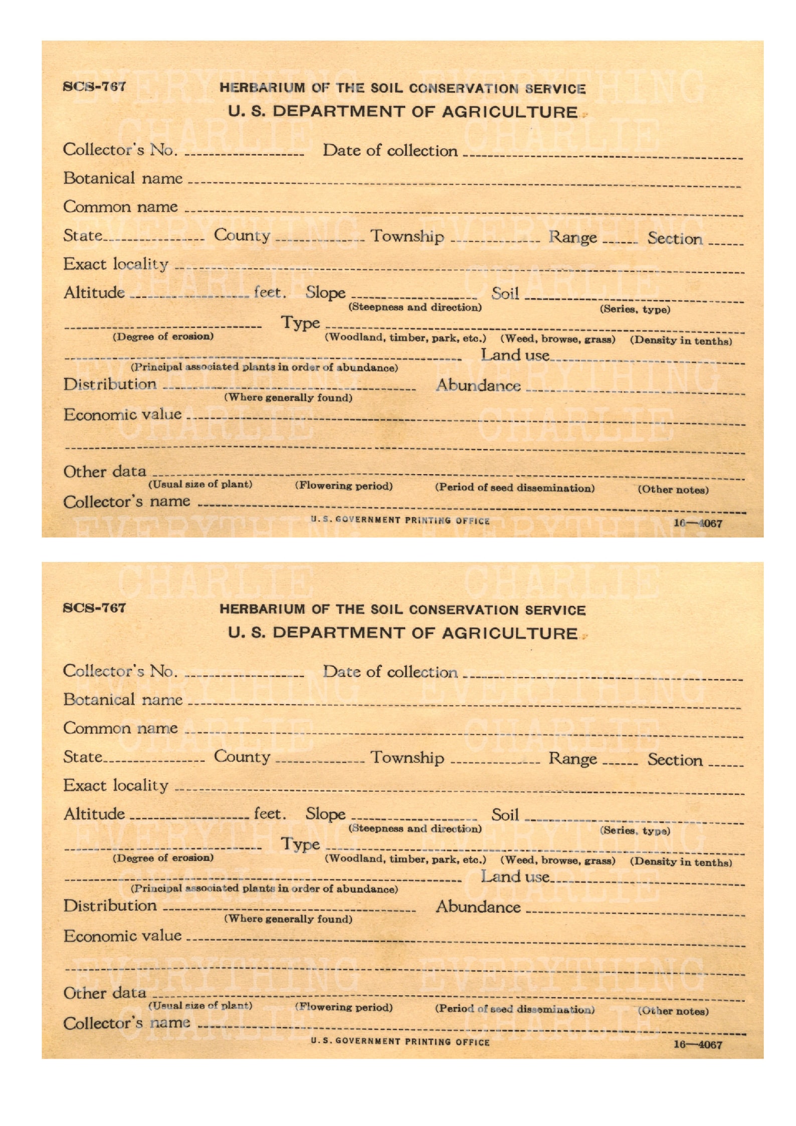 Field Notes and Plant Specimen Labels, for Junk Journals, Scrapbooking ...