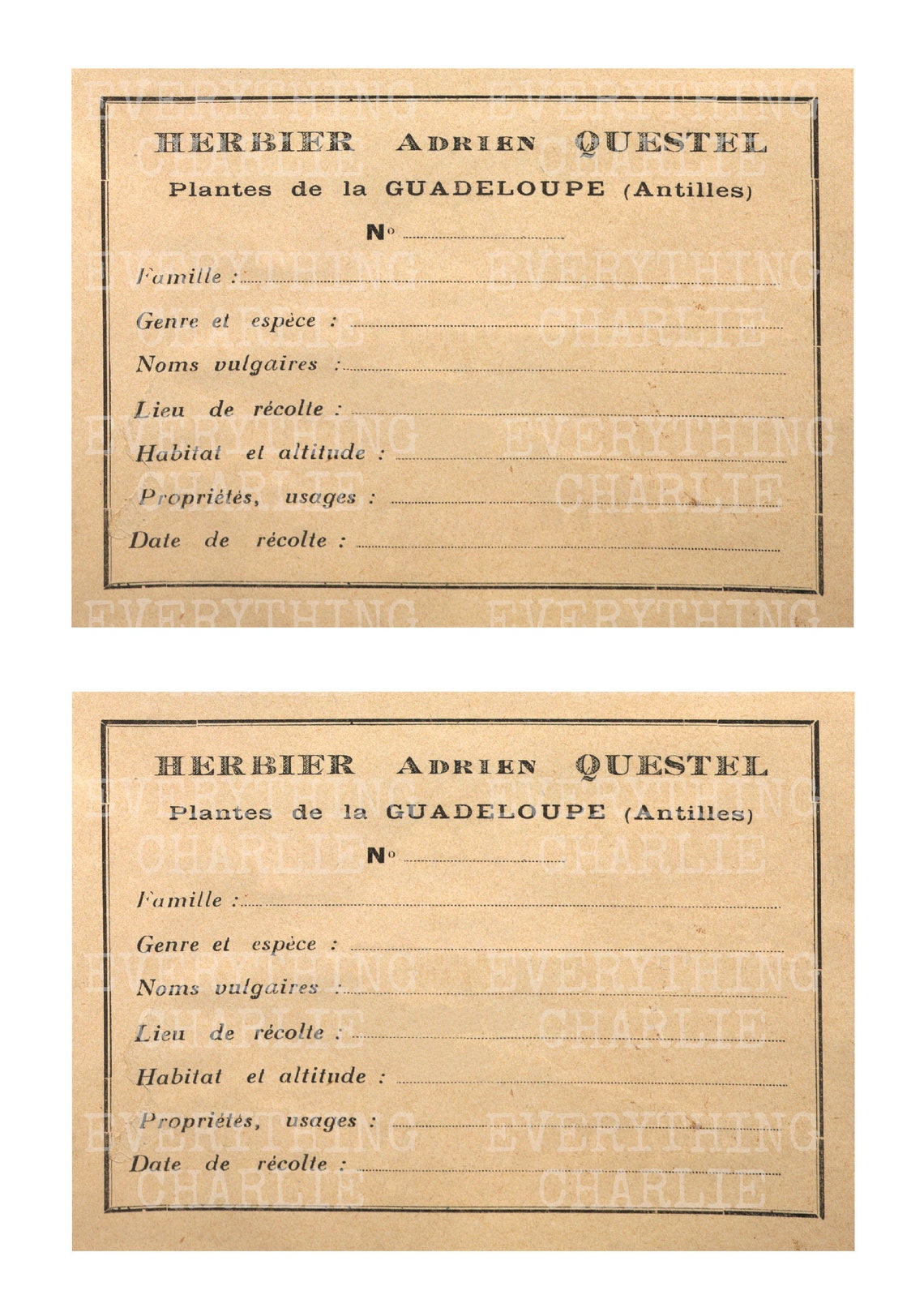 Field Notes and Plant Specimen Labels, for Junk Journals, Scrapbooking ...