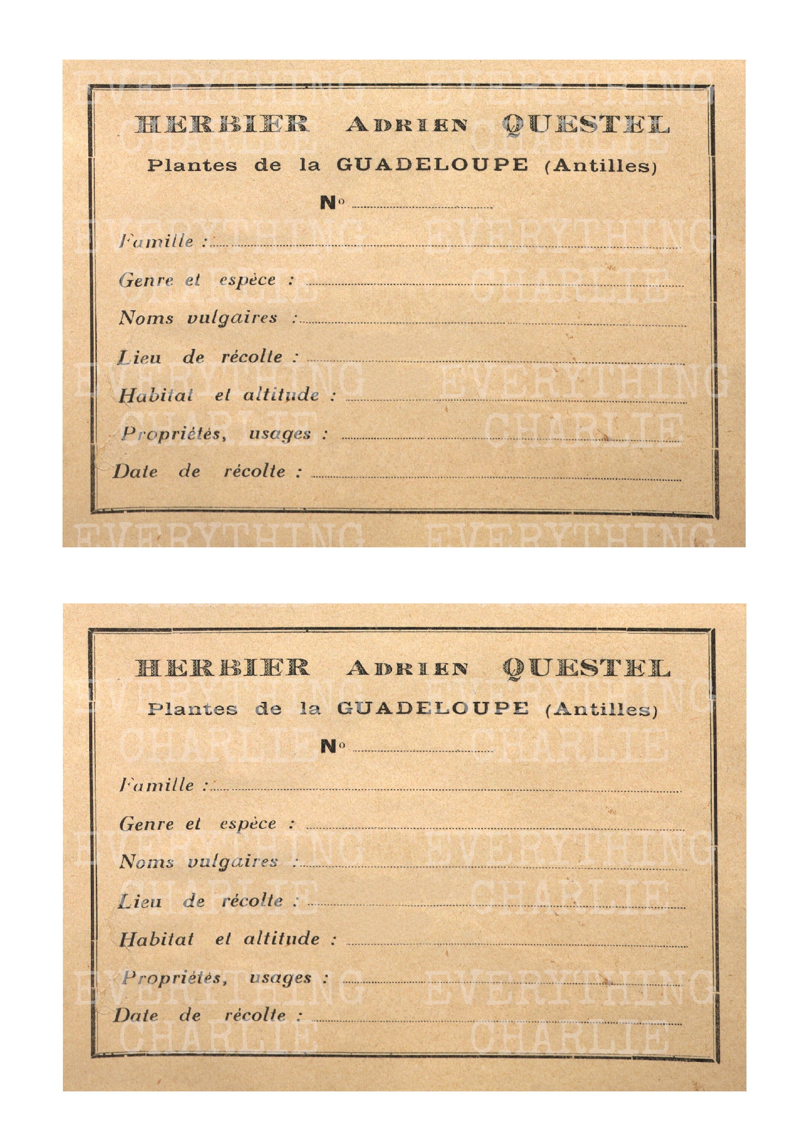 Field Notes and Plant Specimen Labels, for Junk Journals, Scrapbooking ...