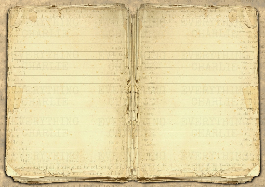 Blank and Lined Journal or Planner Pages for Journals and Junk Journals ...