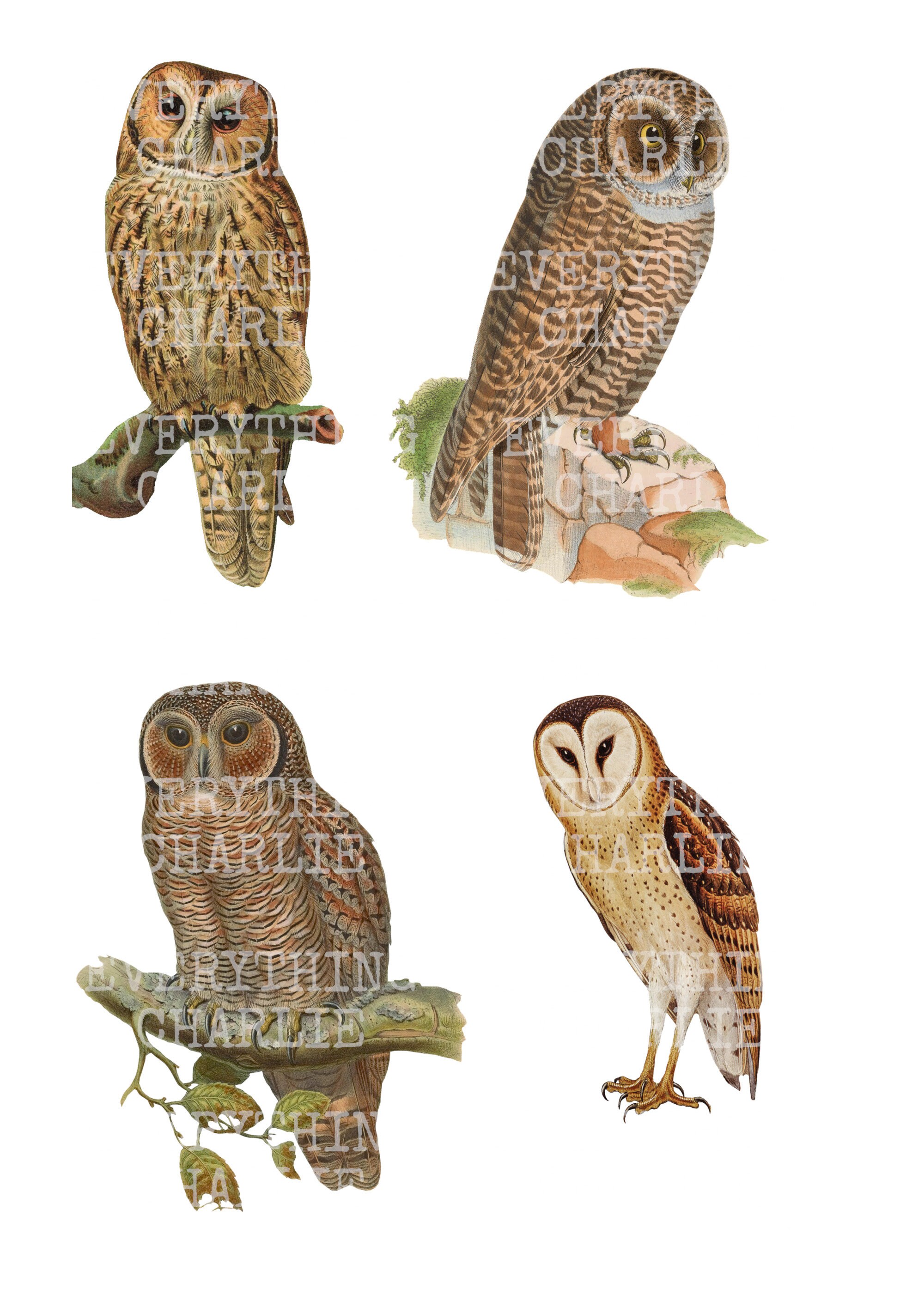 Owls Fussy Cuts Digital Download Printable Owl Fussy Cut - Etsy