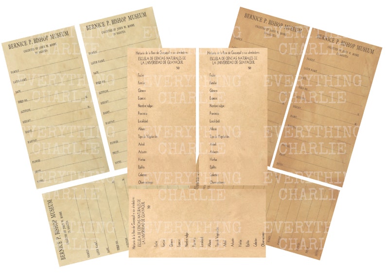 Field Notes and Plant Specimen Labels, for Junk Journals, Scrapbooking ...