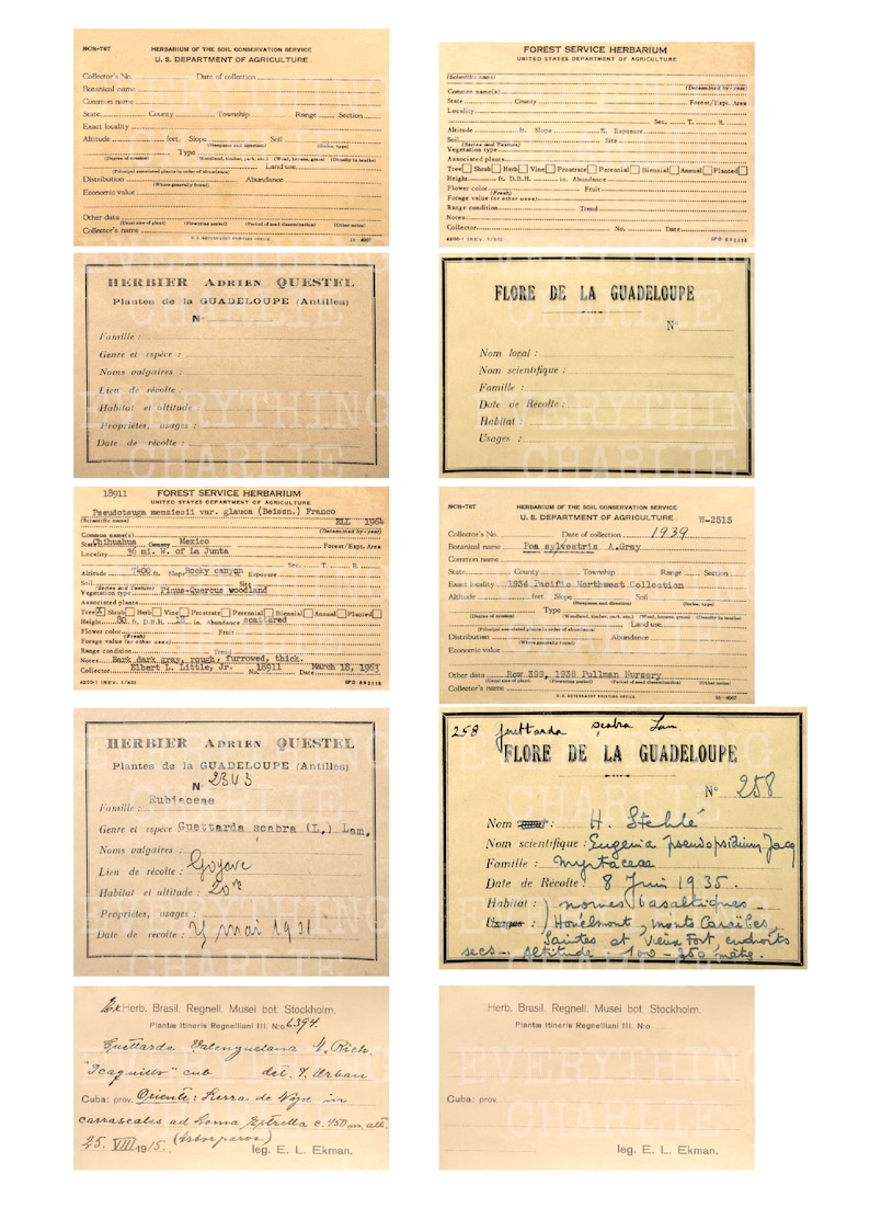 Field Notes and Plant Specimen Labels, for Junk Journals, Scrapbooking ...