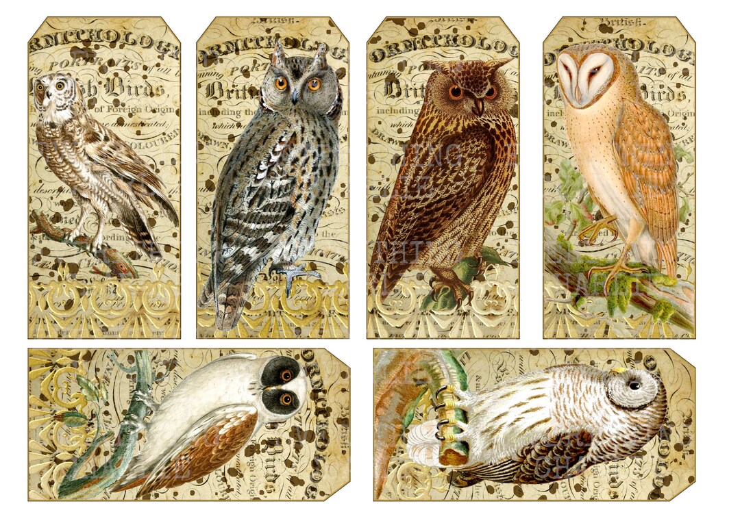 Owl Tags and Journal Cards, Printable Digital Download Ephemera for ...