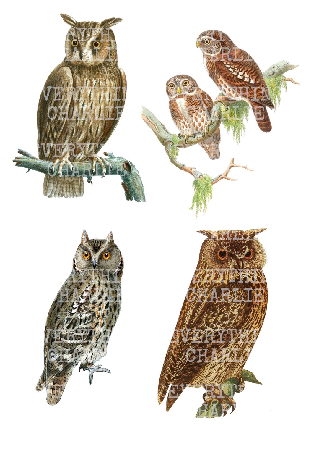 Owls Fussy Cuts, Digital Download Printable Owl Fussy Cut ...