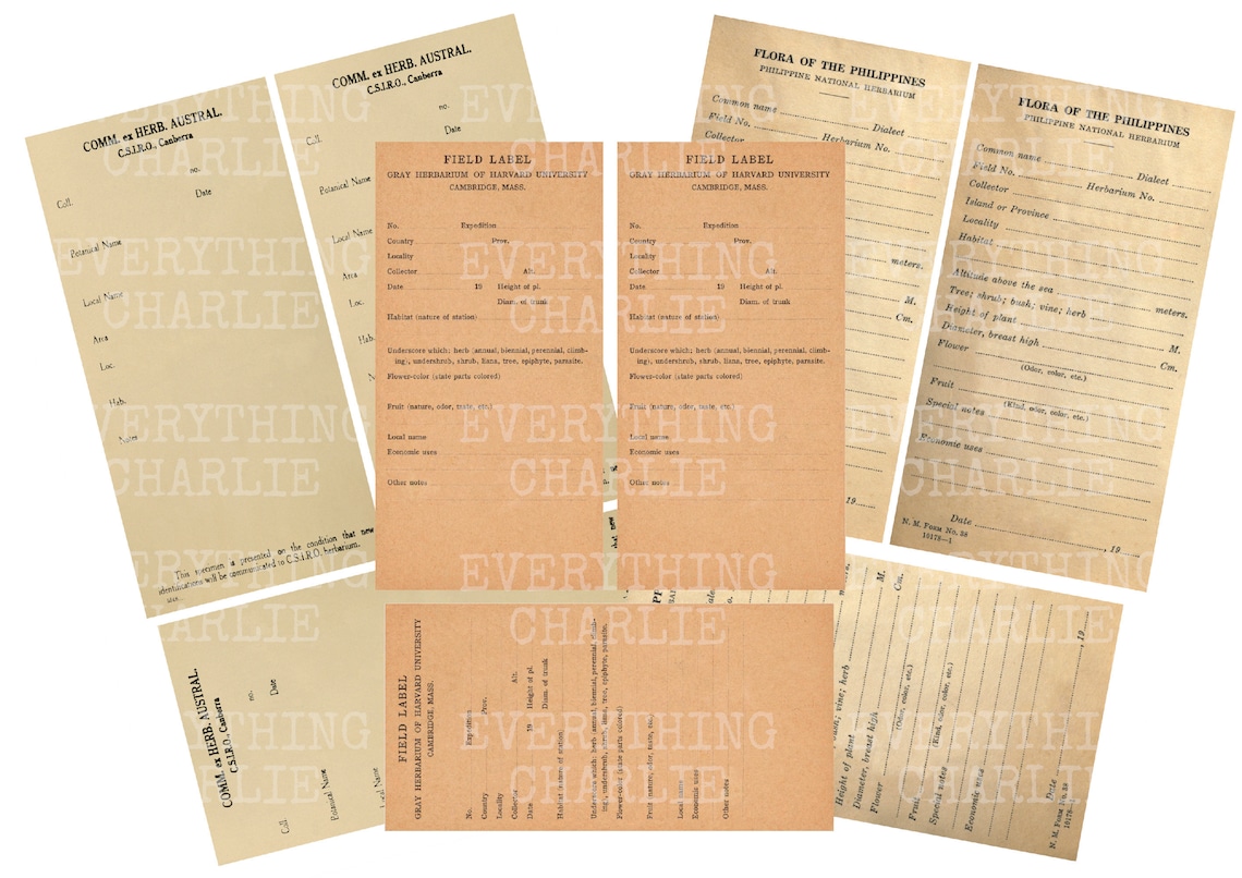 Field Notes and Plant Specimen Labels, for Junk Journals, Scrapbooking ...