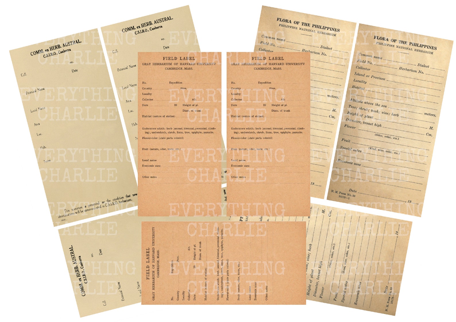 Field Notes and Plant Specimen Labels, for Junk Journals, Scrapbooking ...