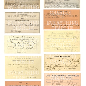 Specimen, Plant and Entomology Labels, Digital Download Printable for ...