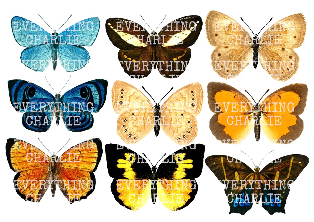 Butterfly Fussy Cut Printable Digital Download for Junk Journals ...