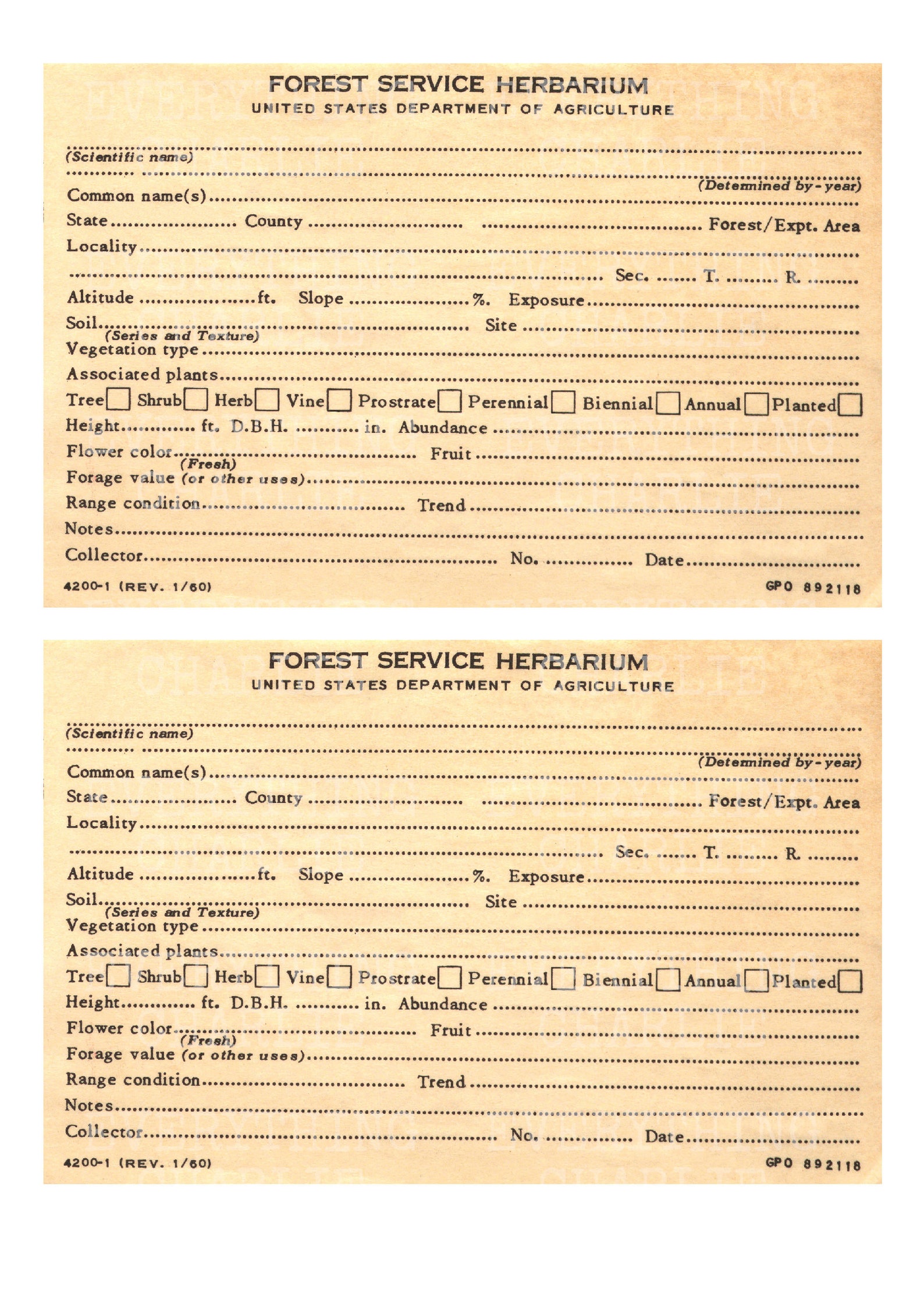 Field Notes and Plant Specimen Labels, for Junk Journals, Scrapbooking ...