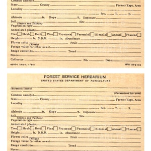 Field Notes and Plant Specimen Labels, for Junk Journals, Scrapbooking ...