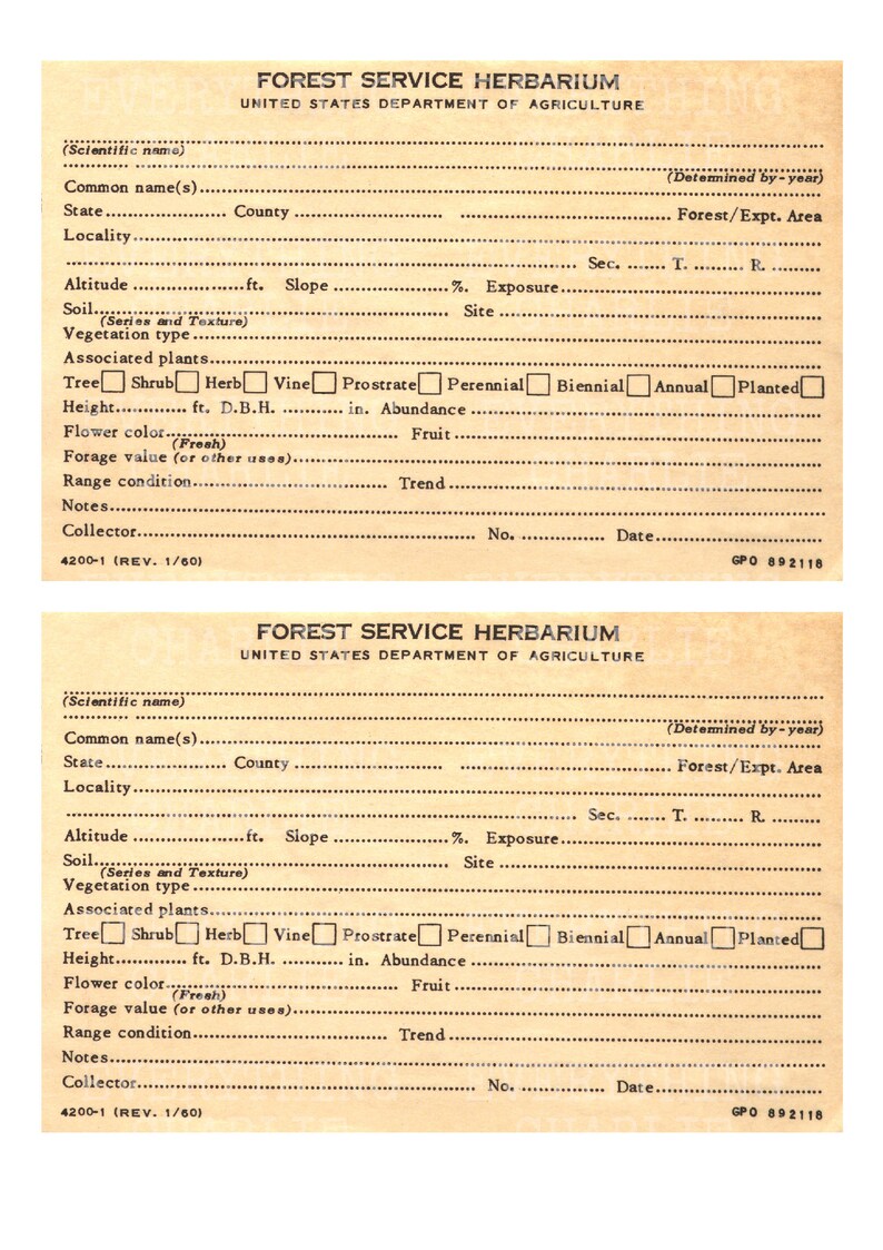 Field Notes and Plant Specimen Labels for Junk Journals - Etsy