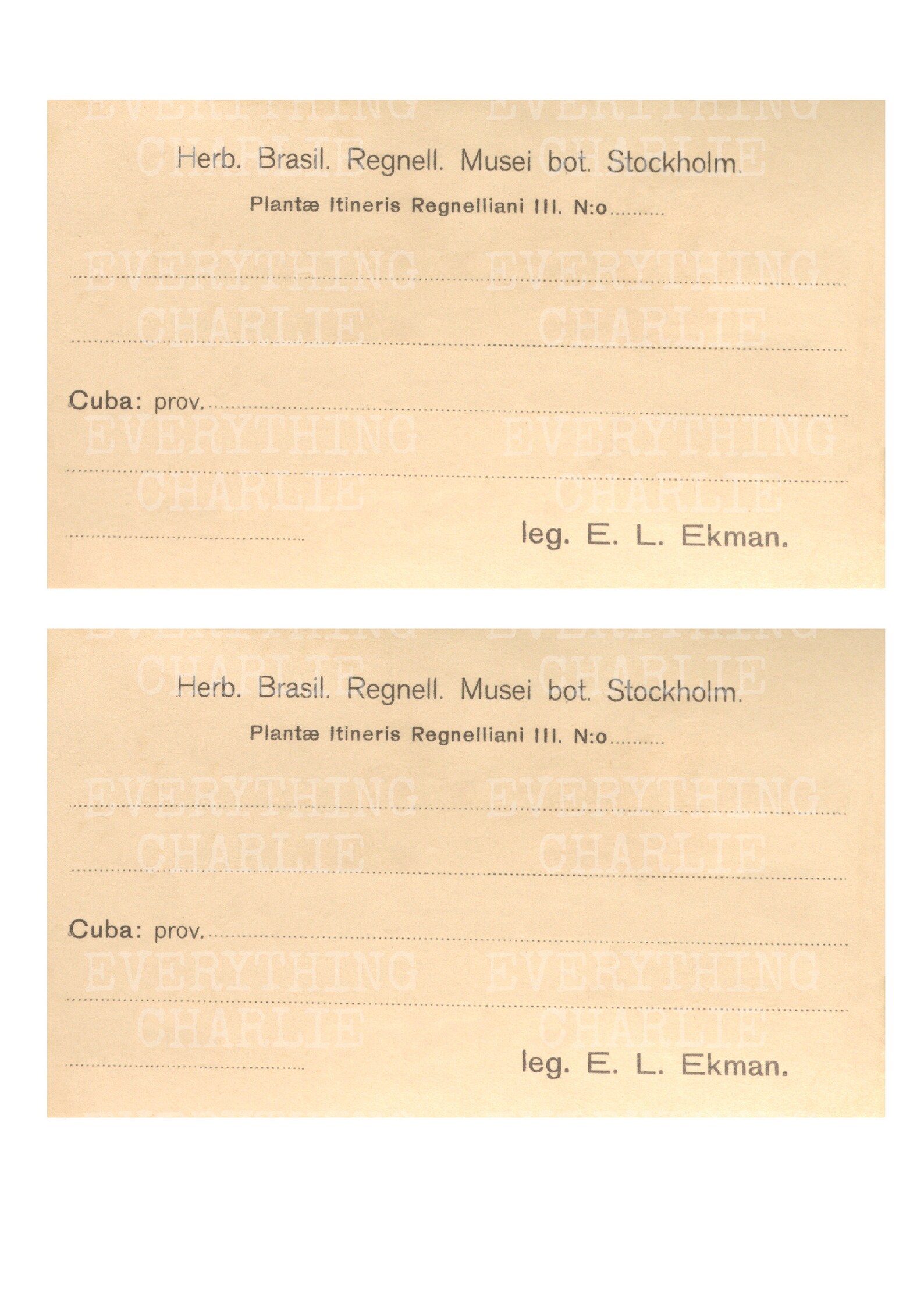 Field Notes and Plant Specimen Labels, for Junk Journals, Scrapbooking ...