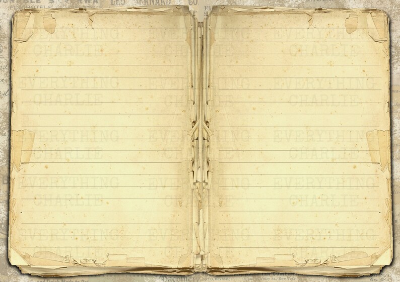 Blank and Lined Journal or Planner Pages for Journals and Junk - Etsy