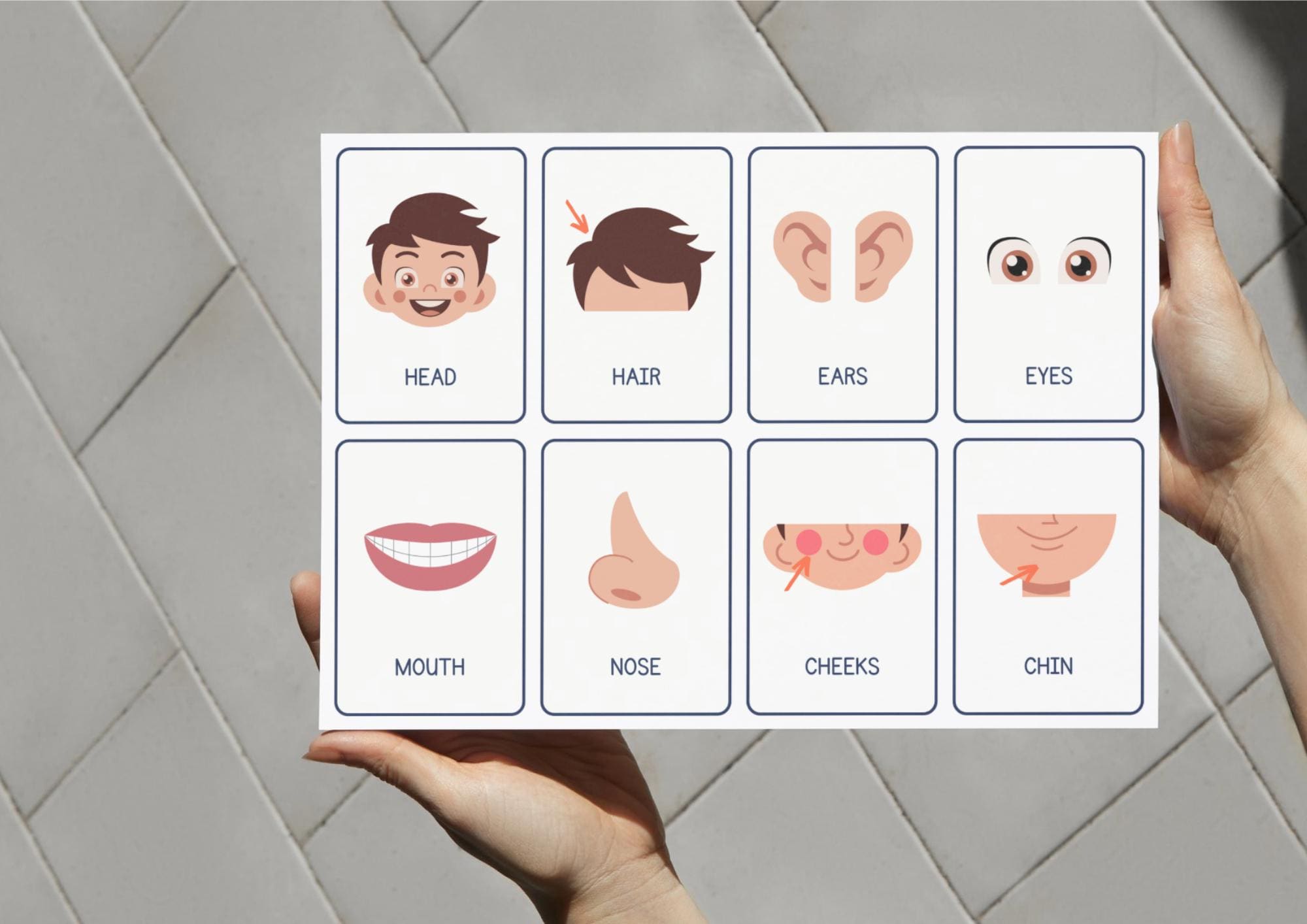 146 Educational Flashcards for Kids, Alphabet Flashcards, Counting ...