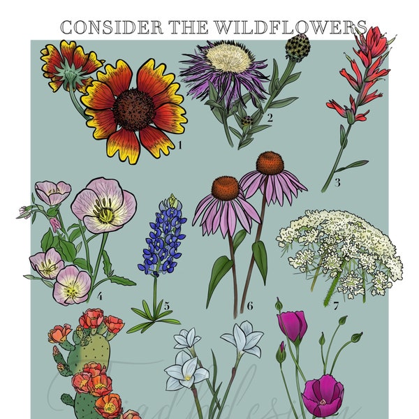 Texas Wildflowers - Etsy