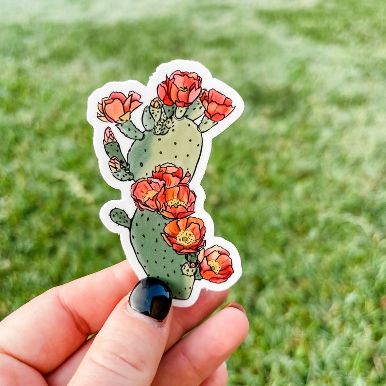 Cactus prickly Pear Sticker Vinyl Die Cut - Etsy