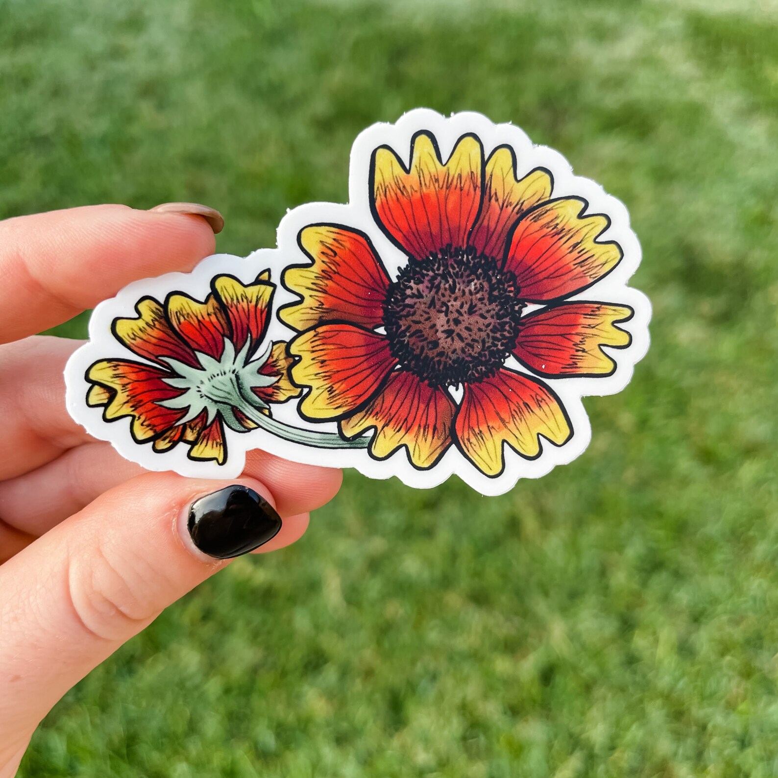 Gaillardia blanket Flower Sticker Vinyl Die - Etsy